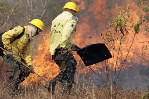 Incêndios Na Amazônia Aumentaram 28 Em Julho Modais Em Foco